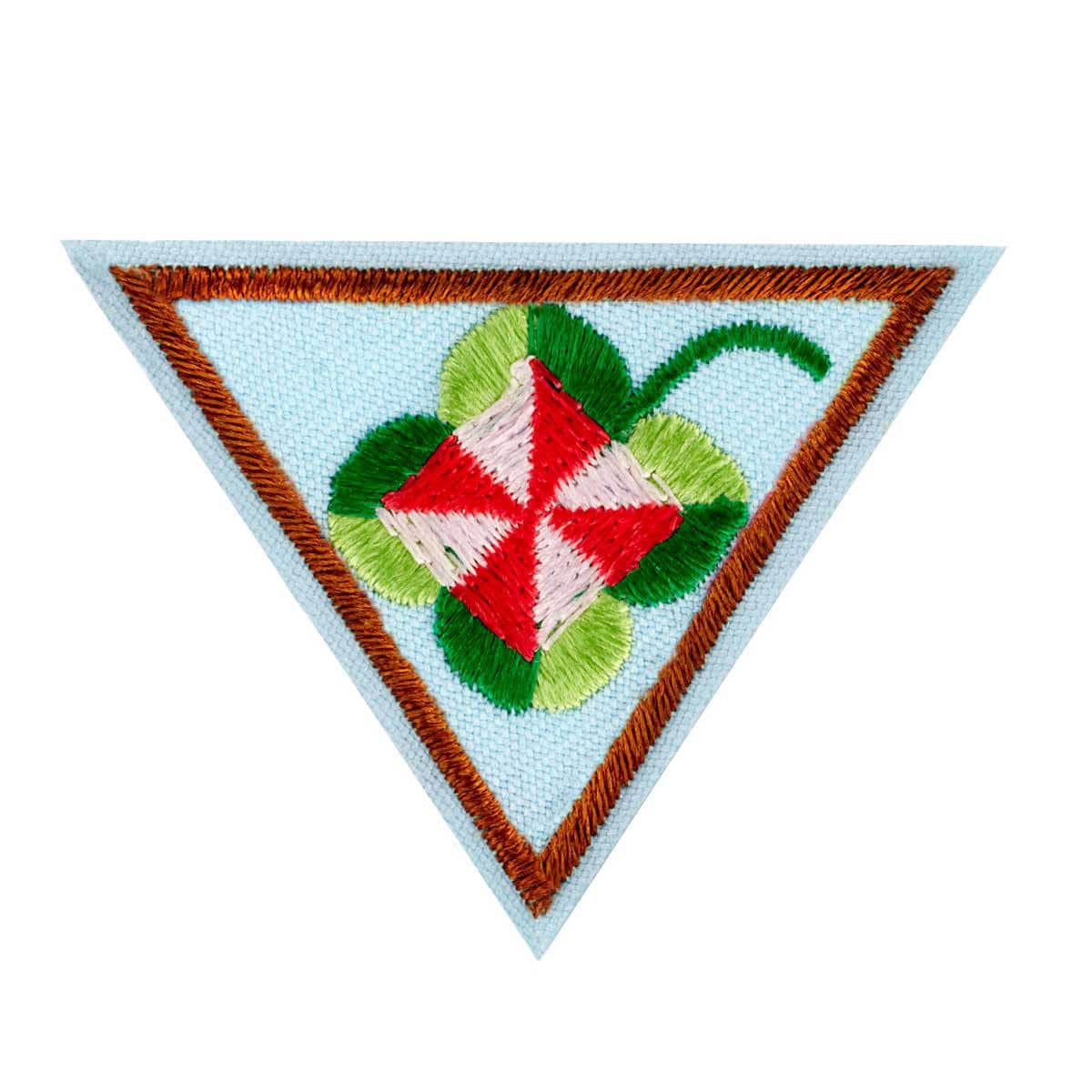 Brownie Shapes In Nature Badge | Girl Scouts of Southern Illinois