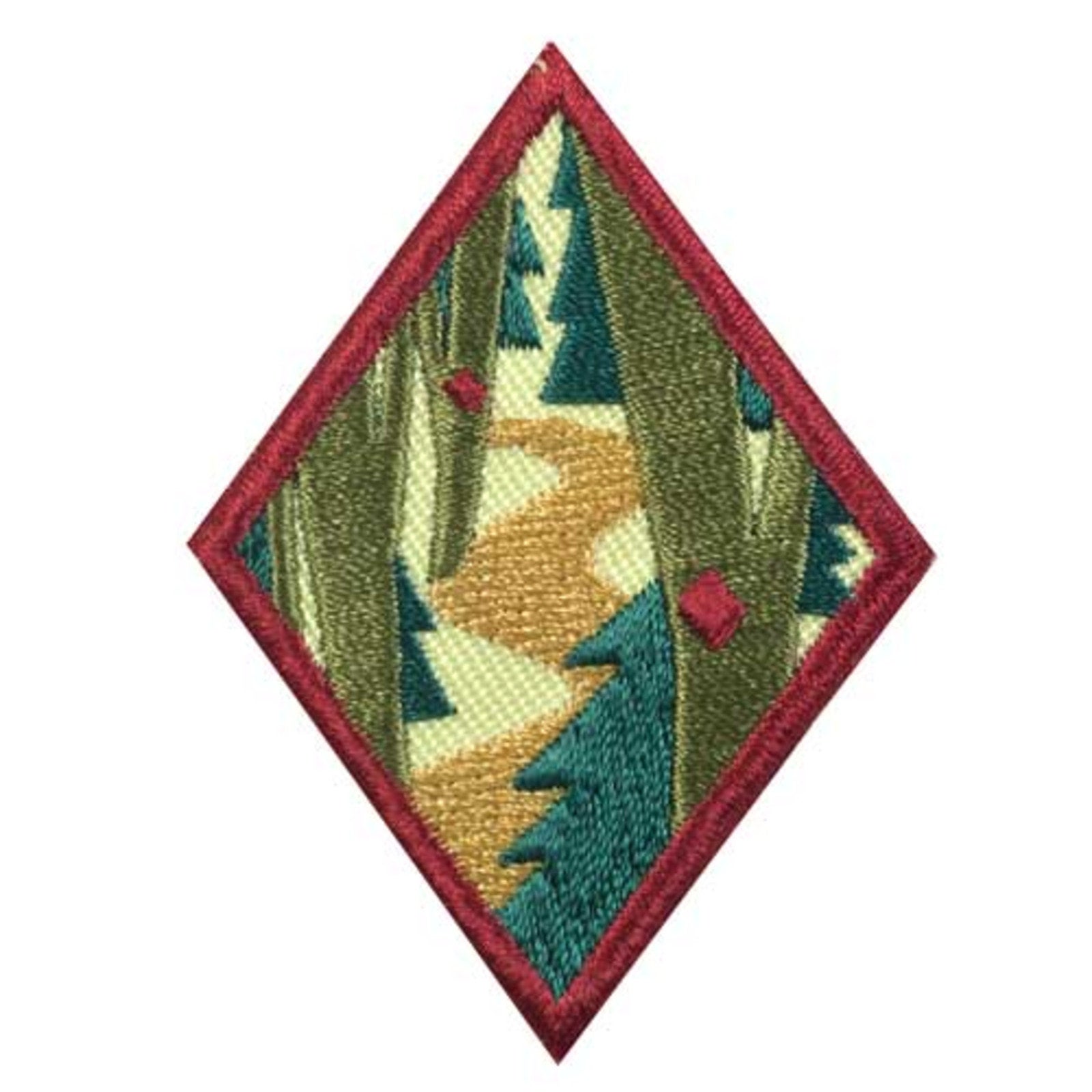 Cadette Trailblazing Badge | Girl Scouts of Southern Illinois